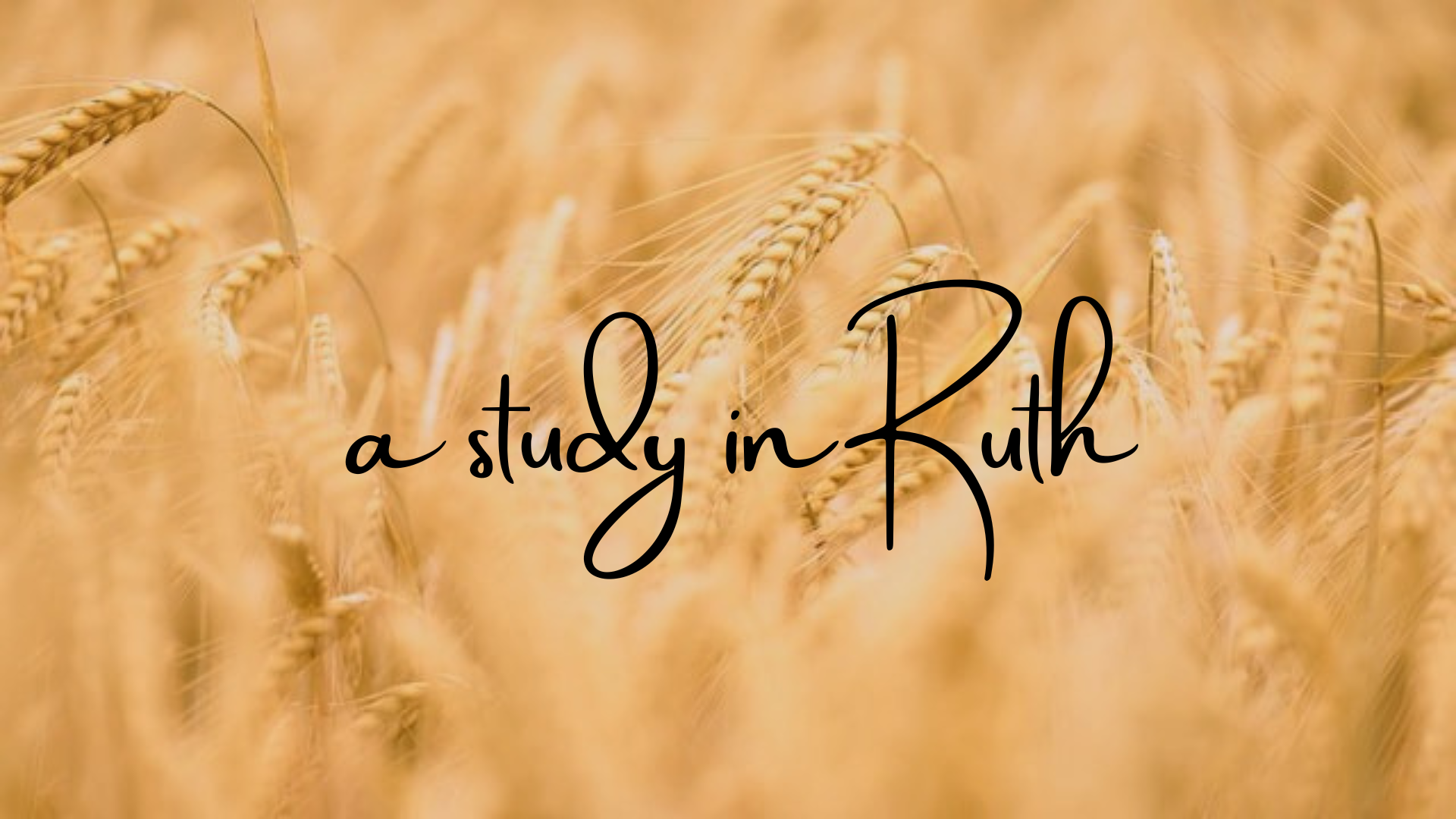 The Covenant Faithfulness of God (Ruth 2) - Sweatshirt Theologian